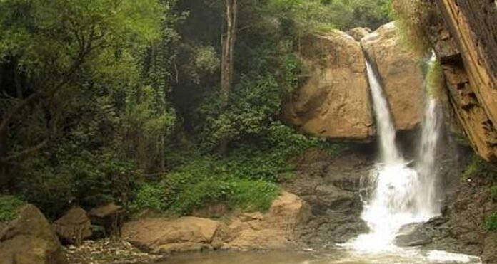 Best Places To Visit in Coonoor - Home Brightside