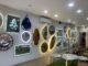 22 Fast Food Shop Interior Design Ideas for Modern Spaces - Home Brightside